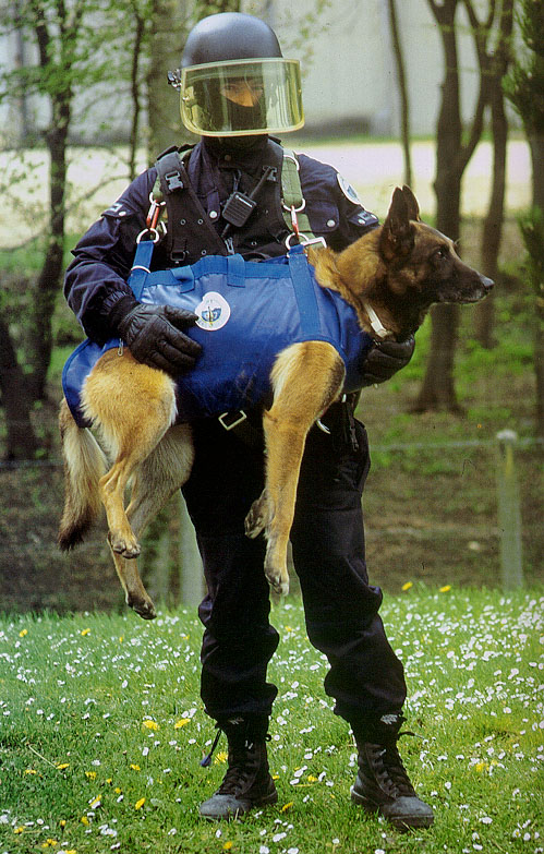 K911/17: LES MAITRES CHIENS DANS LA POLICE